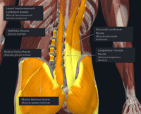 Into the “Core” of Climbing - The Climbing Doctor