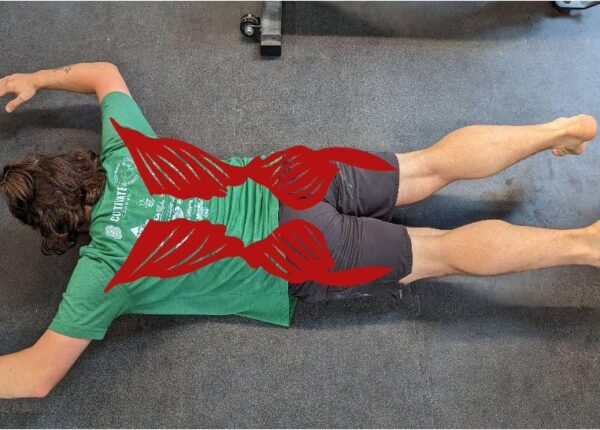 Posterior Chain Climbing - The Climbing Doctor